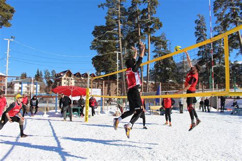 საქართველოს ფრენბურთის ეროვნული ფედერაცია