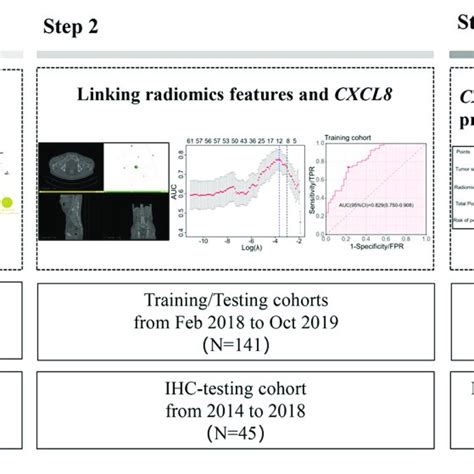 Workflow Of The Study Ihc Immunohistochemistry Crc Colorectal