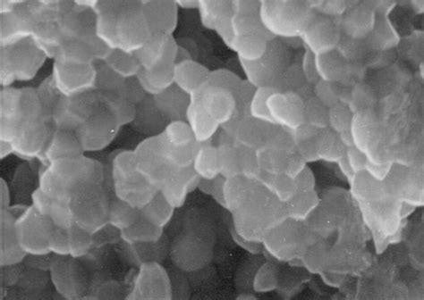 Microstructure At Fracture Of A Sample Sintered At 1450°c For 10 H