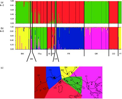 Bar Plot Representing The Genetic Composition Of Single Individuals