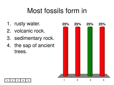 Ppt Examples Of Fossils Include Preserved Powerpoint Presentation