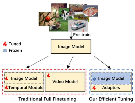 论文阅读 Aim Adapting Image Models For Efficient Video Action