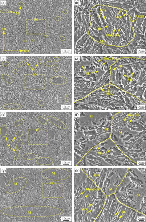 The Sem Micrographs Of Designed Steel Suffered From Different