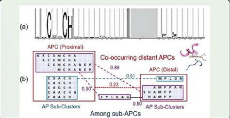 Identification Of Binding Sites Through Clustering Co Occurrence