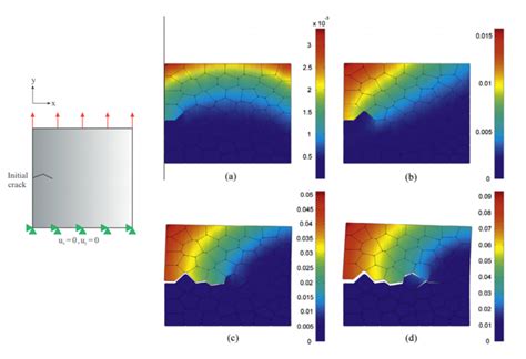 2d analysis of intergranular dynamic crack propagation in poly