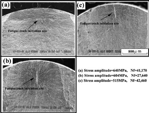 Sem Micrographs Of Fatigue Fracture Surface Of Smooth A