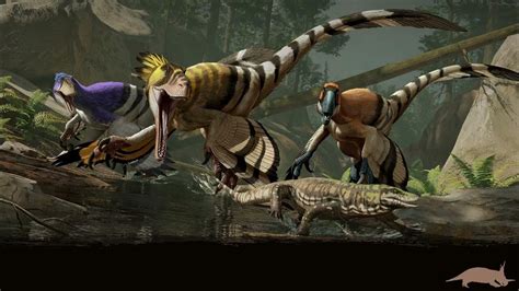 Pycnos Gravity Works Youtube