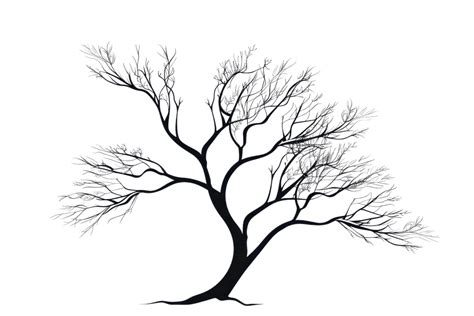 Tree Sketch Pngs For Free Download