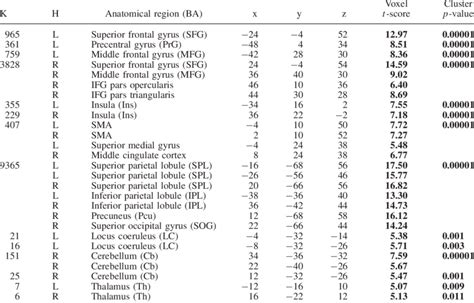 Neural Correlates Of Exploration Download Table