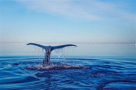 Start Docker Containers Automatically Rustam Mehmandarov