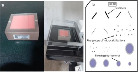 The ACR Phantom A And Different Objects Subjects B Download Scientific Diagram