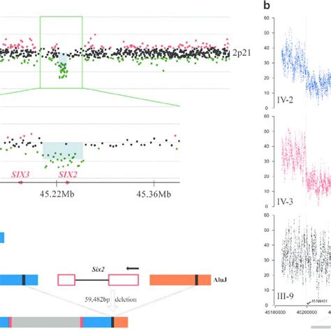Genome Wide Comparative Genomic Hybridization Cgh Microarray Analysis