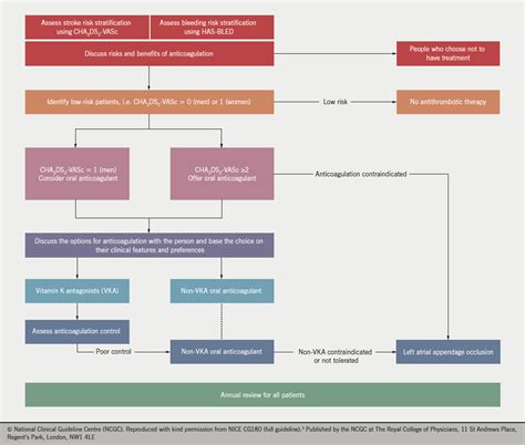 The New Nice Af Guideline And Noacs A Response The British Journal Of Cardiology