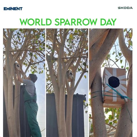 Pranav Chauhan On Linkedin Worldsparrowday2024