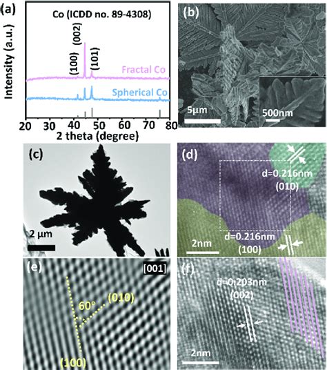A Xrd Patterns Of Fractal Co And Spherical Co B Sem Images With Download Scientific