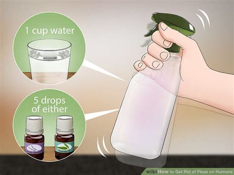 Simple Ways To Get Rid Of Fleas On Humans WikiHow