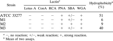 Lectin Binding Activity And Hydrophobicity Download Table