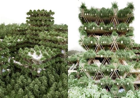 Bamboo Building An Architectural Wonder