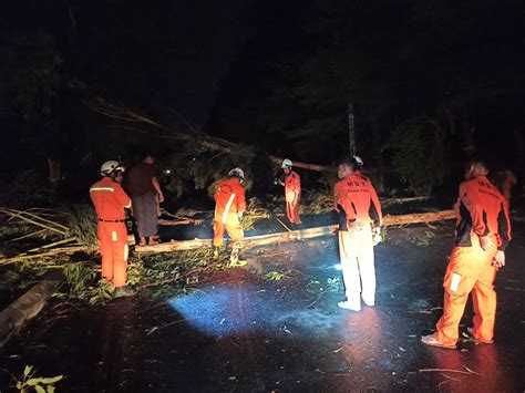 လေပြင်းတိုက် ခိုက်မှုကြောင့် သစ်ပင်အချို့နှင့် လမ်းမီးဓာတ်တိုင်များ လဲကျပြီး လမ်းပိတ်ဆို့မှုများ