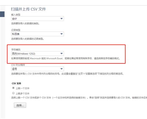 导入csv五大csv导入报错解决办法，建议收藏！netsuite运维专栏 Csdn博客