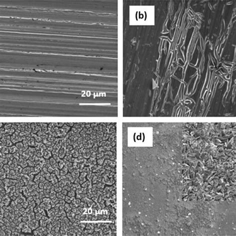 Ftir Spectral Profiles Of Tio2 Fe2o3 Mno2 And Tio2 α Fe2o3 Mno2 Download Scientific Diagram