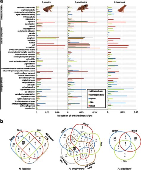 Transcriptome Data Was Utilized To Identify Differentially Expressed