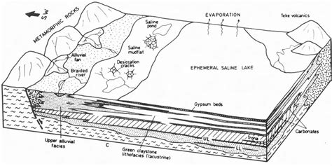 Schematic Block Diagram Showing The Depositional Environments
