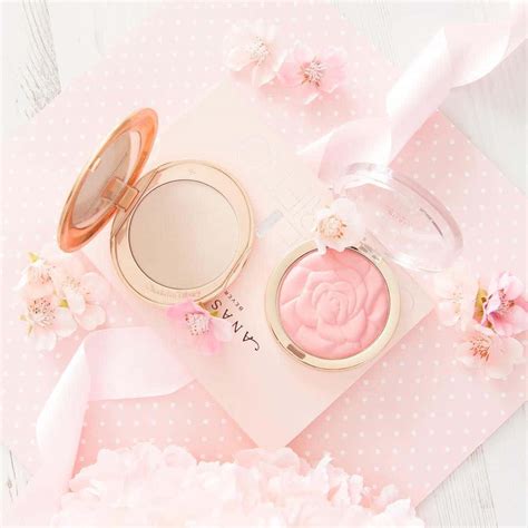 Download Floral Blush Makeup Aesthetic Wallpaper