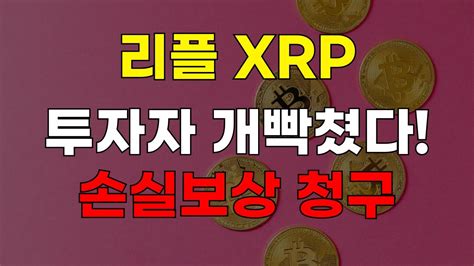 리플 드디어 올 것이 왔습니다 집단소송 누구나 참여 가능합니다 Youtube 리플 드디어 올 것이 왔습니다 집단소송 누구나 참여 가능합니다 Youtube