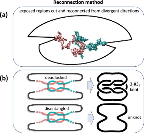 Reconnection Method Cross Wiring Two Chains Away From Their Download Scientific Diagram