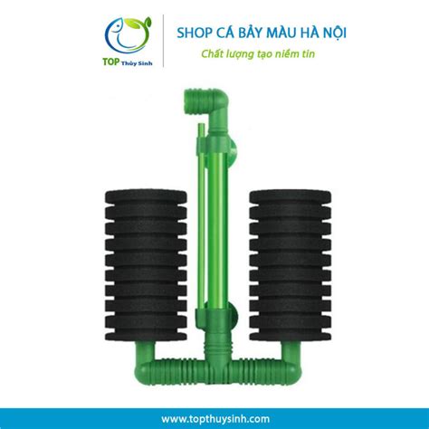 L C Vi Sinh Xinyou Th Y Top Th Y Sinh