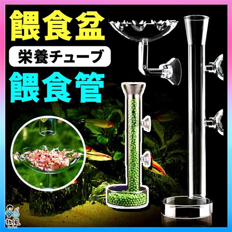 台灣免運現貨魚缸餵食管魚蝦餵食管 空中餵食盆 投食器 餵食圈 餵食器 水晶蝦 餵食盆 餵食盆 玻璃皿 水族用品 蝦皮購物