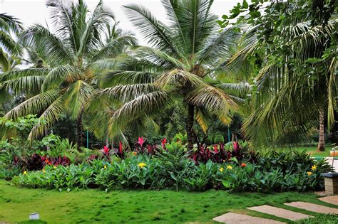 Mindtree Consulting Earthline Services Pvt Ltd