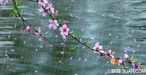 蝶戀花春雨 每日頭條