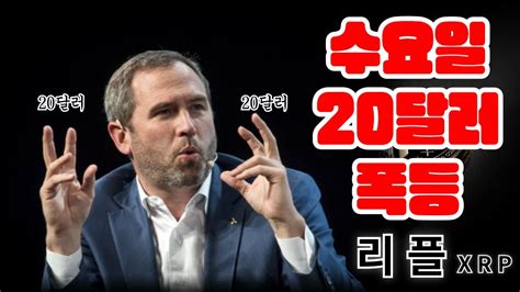 리플 Xrp 다음주 수요일 20달러 폭등 Xrp 리플 리플전망 리플분석 리플코인 리플차트 리플재판 코인추천 알트코인추천 Youtube