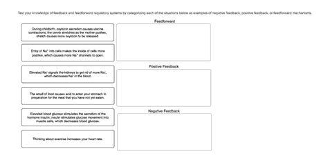 Anatomy And Physiology Archive August 27 2017