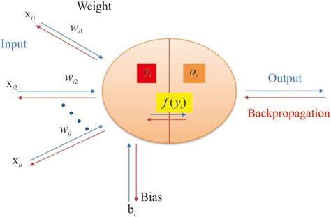 A Example Neuron In The Ann Model Download Scientific Diagram