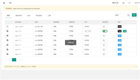 ECS体验用小皮面板Nginx搭建静态网页 阿里云开发者社区