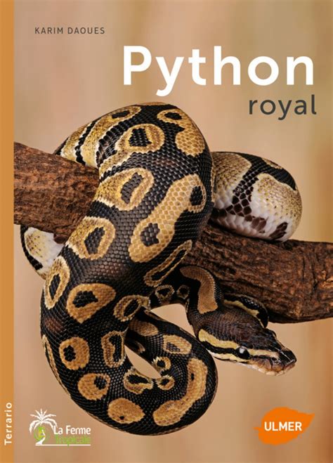 Python Royal By Karim Daoues Faunaflora Insectsreptiles