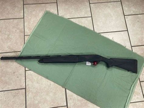 Pointer 12ga Shotgun Apexx Auctions