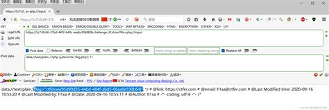 Ctfshow Web78 获取flag（用老版的火狐浏览器）浏览器找请求包flag Csdn博客