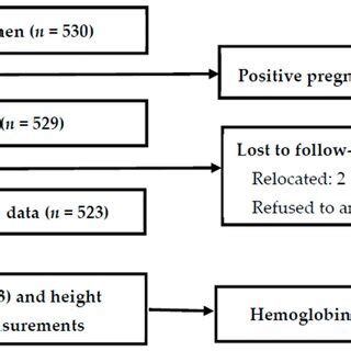 Subject Flow Through The Study And Reasons For Withdrawal Or Loss To Download Scientific