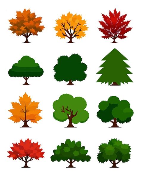Premium Vector Fantastic Trees Bushes Shrubs Top View Vector