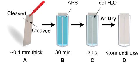 Static Atomic Force Microscopy To Visualize And Characterize Assembled Nucleosomes Scientific
