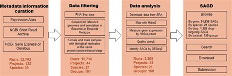 Overall Design Of Sagd Sagd Curated Metadata Information From Download Scientific Diagram