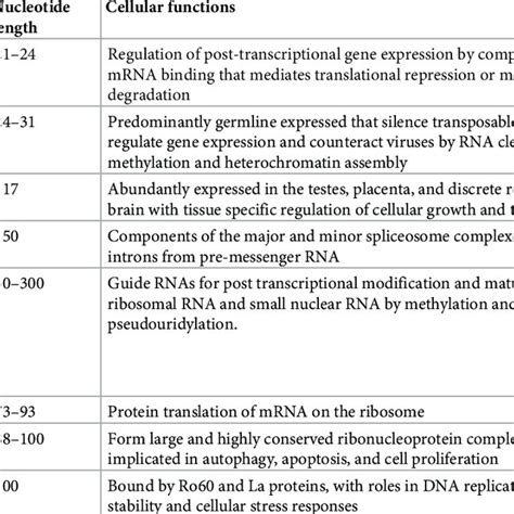 Long Non Coding Rna Biogenesis And Functions Long Non Coding Rnas Download Scientific