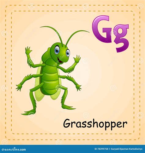 Grasshopper Grig Ladybird Worm Applegrub Cutworm Beetle