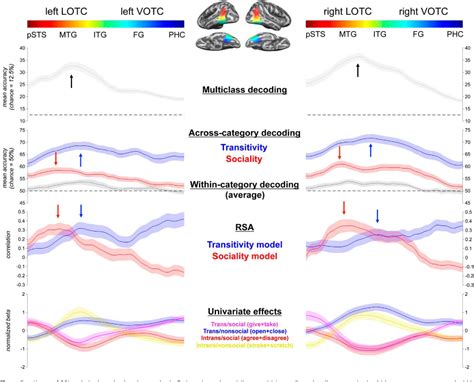 Figure 7 From Action Categories In Lateral Occipitotemporal Cortex Are