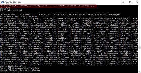 Как запустить Php скрипт из консоли