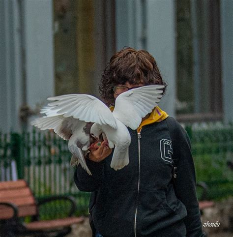 和平鸽女孩 周路的博客 Photofans摄影网